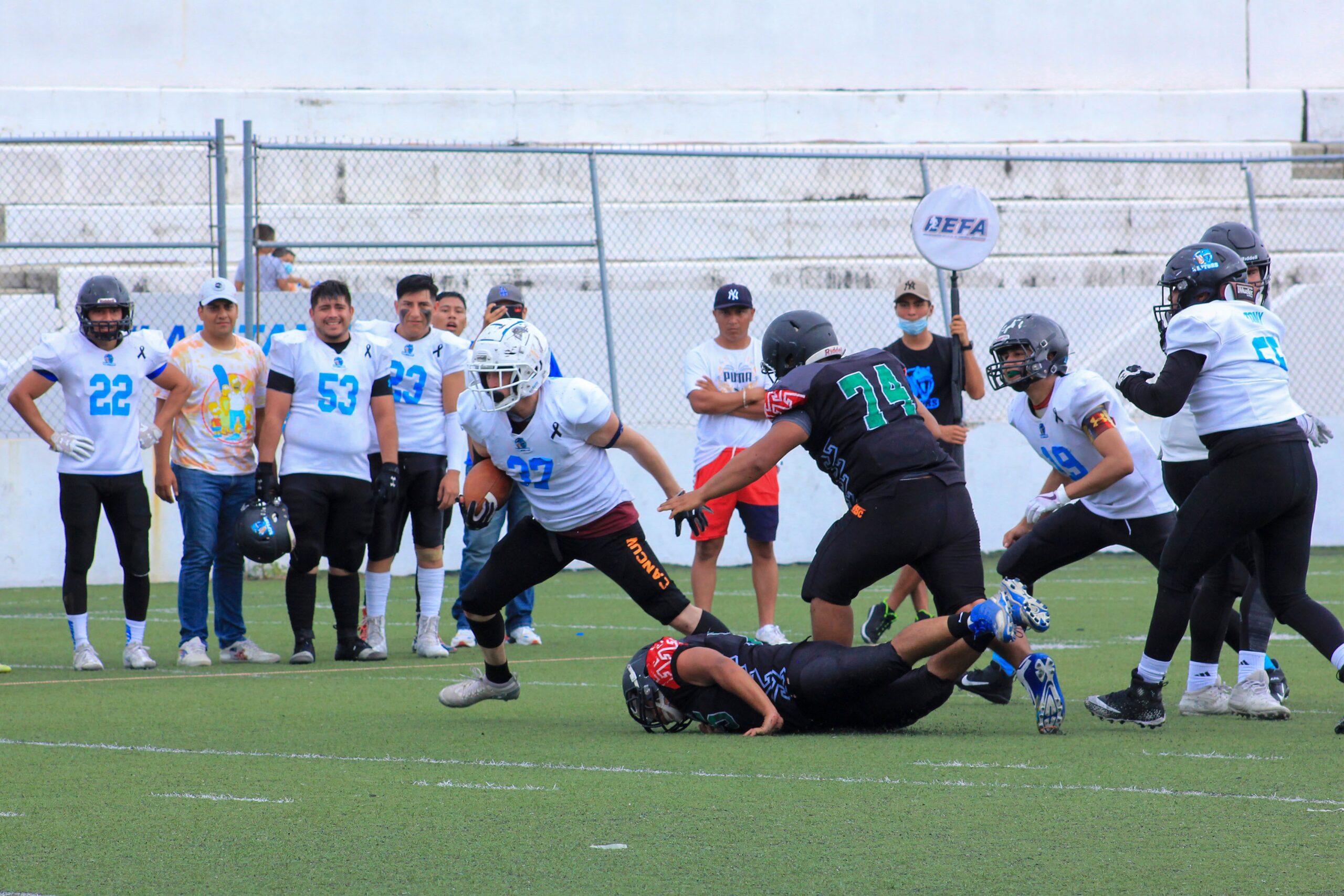 Raptors es finalista - Noticias Voz e Imagen de Chiapas