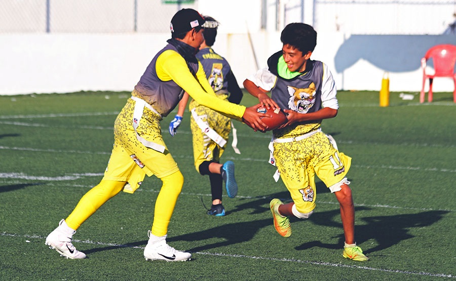 Foldcats al nacional Tochito NFL - Noticias Voz e Imagen de Chiapas