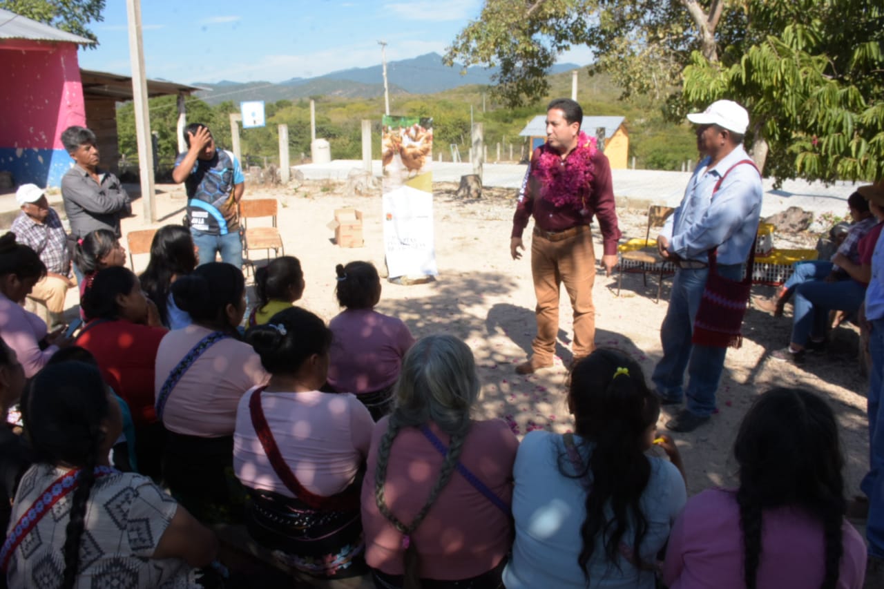 Impulsan Proyecto "Granjitas Productivas de Aves de Traspatio ...