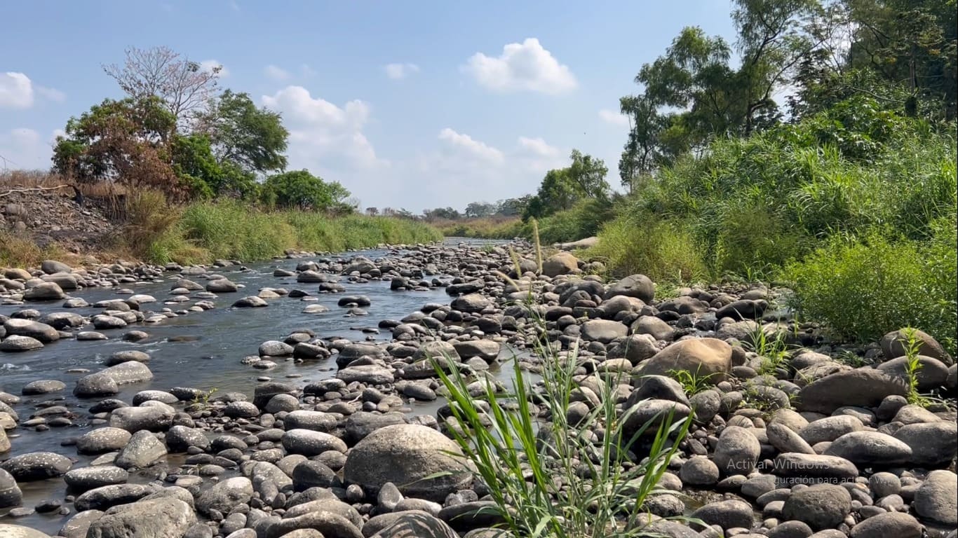 La crisis del agua llega a la región Soconusco - Noticias Voz e Imagen ...