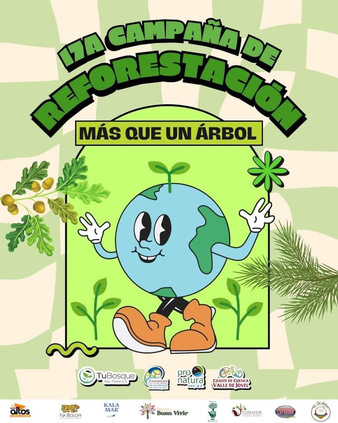 Inicia XVII Campaña de Reforestación en el Valle de Jovel - Noticias ...
