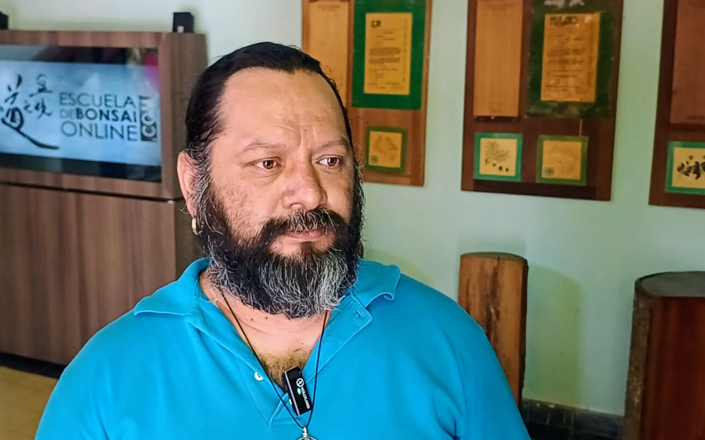 Advierten sobre riesgos de los techos verdes “mal planeados” - Noticias ...