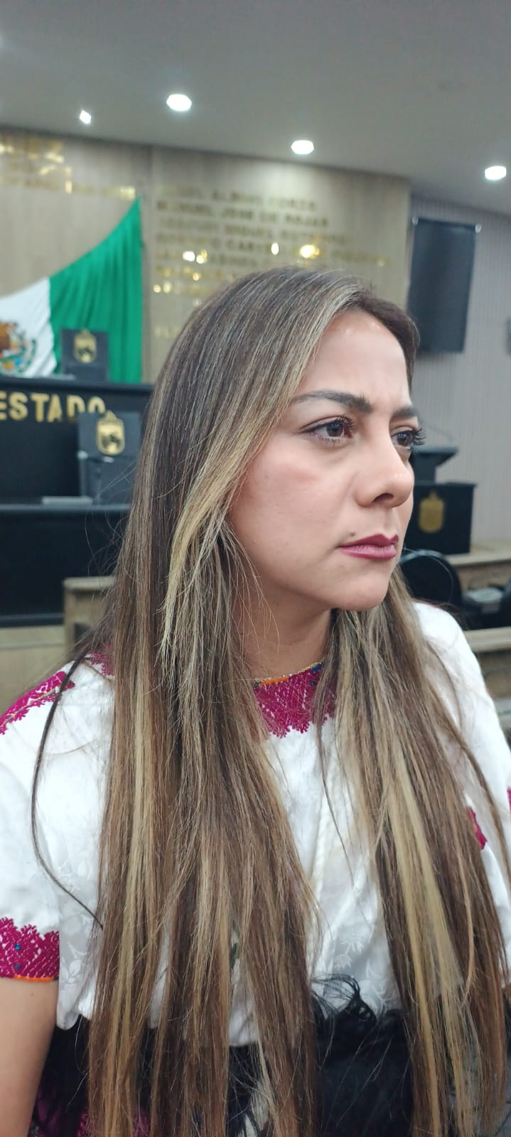 Congreso se mantendrá atento a las propuestas de reforma a la ...